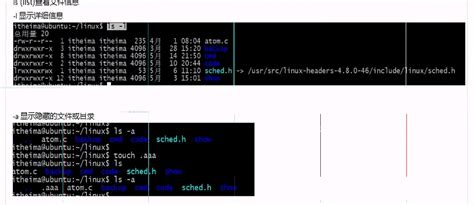 03 linux ls命令和相对路径绝对路径 用ls展示相对路径和绝对路径 csdn博客