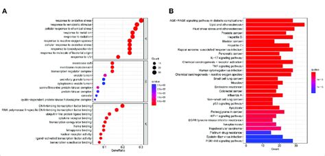 Enrichment Analysis A Bubble Plot Of Go Enrichment Analysis Including Download Scientific