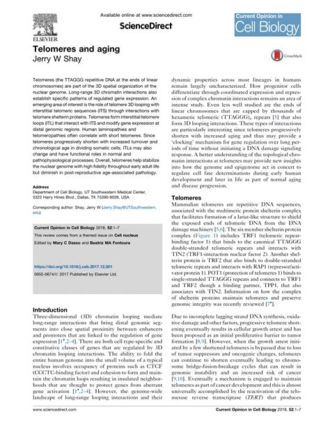 Pdf Telomerase Target For Cancer Treatment