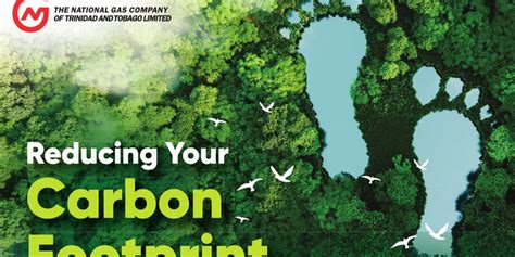 Reducing Your Carbon Footprint Ngc Media Centre