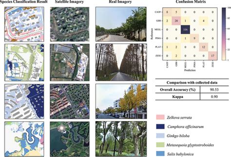 Full Article Urban Tree Species Classification Using Multisource Satellite Remote Sensing Data