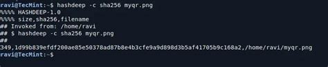 Hashdeep A Tool For File Integrity And Forensics