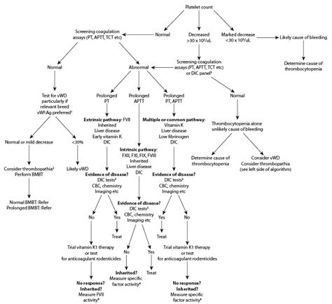 Screening Hemostasis Test Diagnostic Algorithm Eclinpath