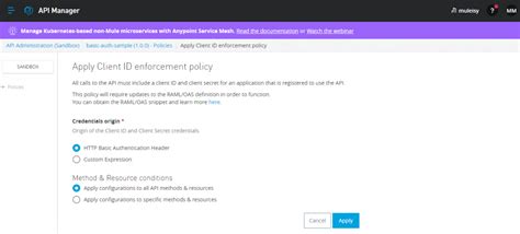 Basic Authentication Client Id Enforcement Api Manager Policy