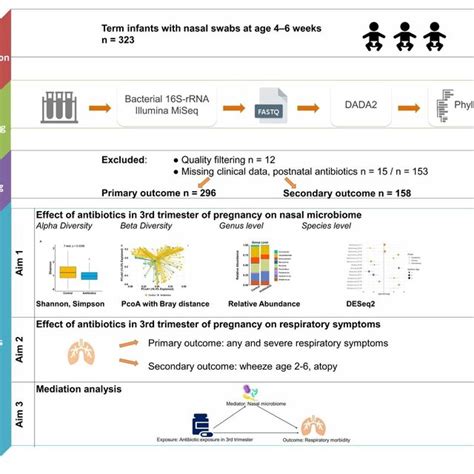 Simplified Graphical Overview Of The Workflow Of The Data Collection Download Scientific