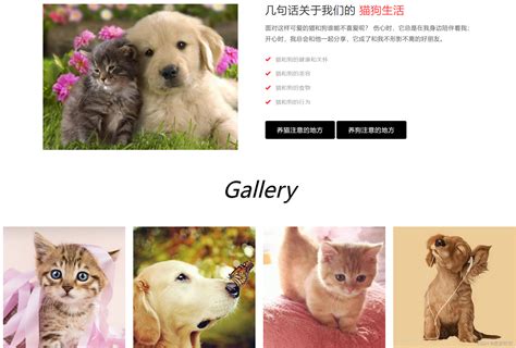 基于ssm的宠物领养管理系统源代码数据库619ssm宠物管理项目页面 Csdn博客