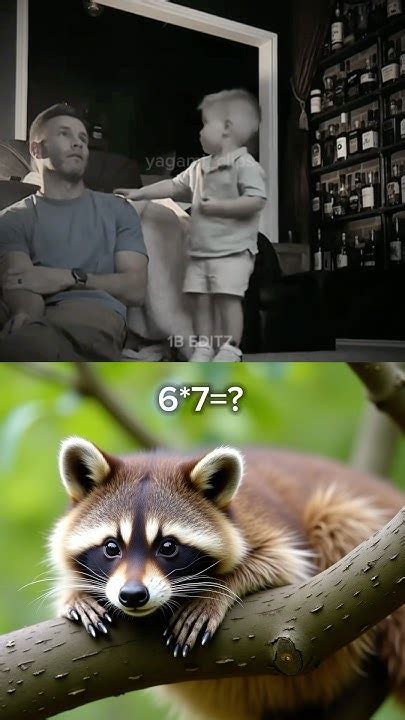 Shorts Trending Youtube Shorts Trending Youtube