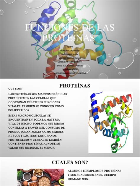 Funciones De Las Proteínas 4 023252 Pdf Enzima Proteínas
