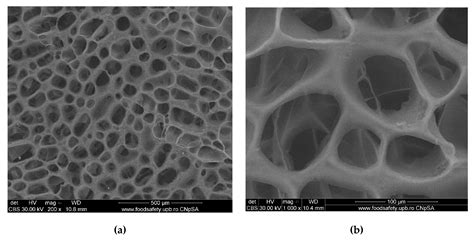 Biomimetic Composite Scaffold Based On Naturally Derived Biomaterials