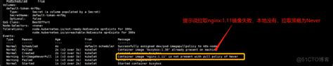 Kubernetes 集群 Pod 资源镜像拉取策略、环境变量、端口设置等详细参数使用（五） Csdn博客