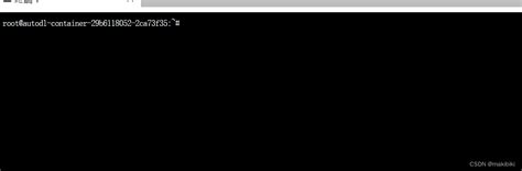 c3d复现配置环境 处理数据集 训练 dyco3d 代码复现 csdn博客