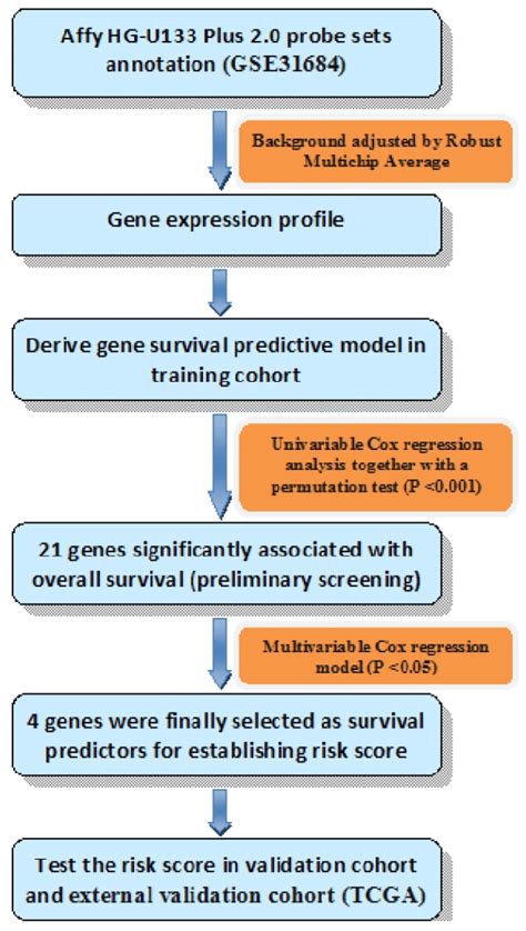 Diagram Of The Construction Of Risk Score The Order Of Analyses To Download Scientific Diagram