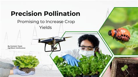 Precision Pollination Promising To Increase Crop Yields