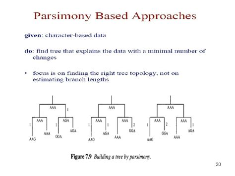 Ch Building Phylogenetic Tree Two General Approaches