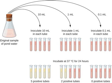 Most Probable Number Mpn Test Principle Procedure Results Biology Notes Online