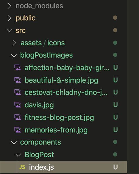 Javascript Error With My Img Src Using React Photo Is Not Displaying