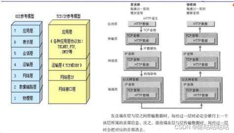 Java网络编程简介，tcp和udp协议的运用java Udp和tcp分别用在哪 Csdn博客