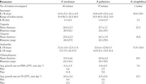 Morphological Characteristics Of Phytophthora Spp Isolates Download