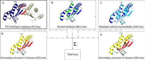 Visualisation Of The Possible Protein Structural Prediction Tasks And Download Scientific