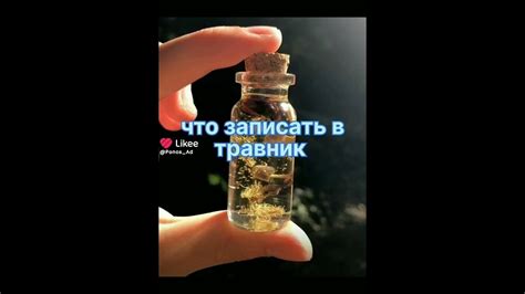 подборка травниц и ведьм из лайка🌿 Youtube
