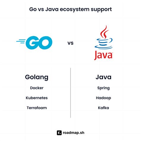 Go Vs Java Choosing The Right Language For Your Projects
