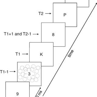 Experiment 1 Schematic Representation Of The Sequence Of Events Download Scientific Diagram