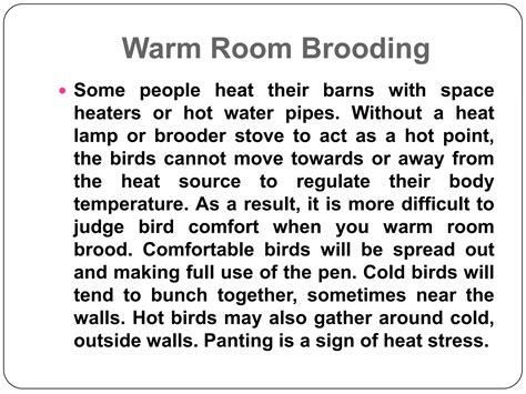 Brooding Temperatures For Ppt