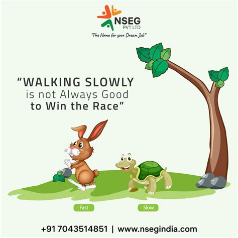 nseg pvt ltd posted on linkedin