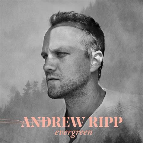 Andrew Ripp Best Songs · Discography · Lyrics