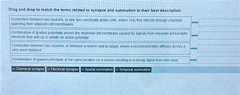 Solved Drag And Drop To Match The Terms Related To Synapse