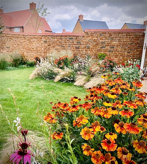 Bodicote New Build Maddie Pashley Garden Design