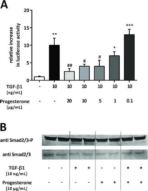 Progesterone Inhibits Transforming Growth Factor Beta 1 Download Scientific Diagram