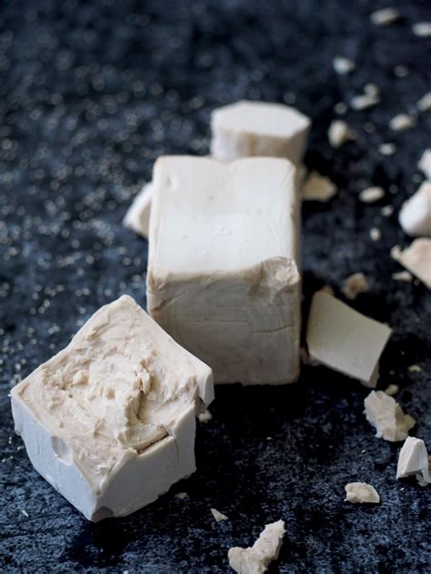 Verschil Verse Gist En Gedroogde Gist Flying Foodie