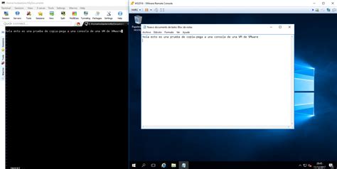 Copy Paste En Guest Console De Vmware Vsphere