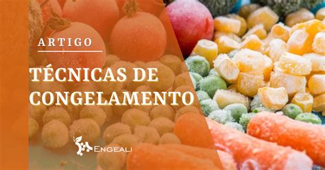 Técnicas De Congelamento Para Seu Produto