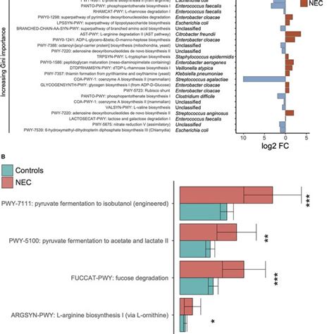 Diversity Analysis Based On Functional Modeling A Histogram Of Download Scientific Diagram