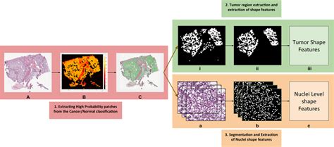 Shape Features Extraction Pipeline A Tissue Slide Image B Heatmap