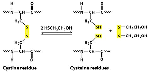 Sds Page For Protein Resolution Nfsc 450