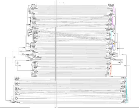 tree topology doesn t match with output from dendroscope · issue 2