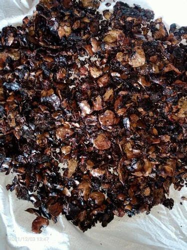 Biomass Fuel Cashew Nut Shell 40 Kg At Best Price In Gurugram ID