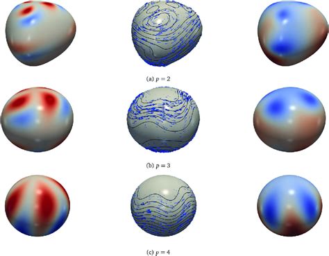 Pointwise Incompressible Flows The Compatible Spline Spaces Are Built Download Scientific