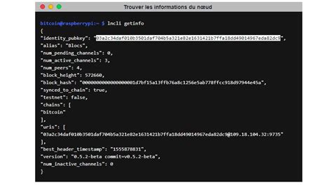 installer un nœud lightning network sur un raspberry pi bitcoin fr