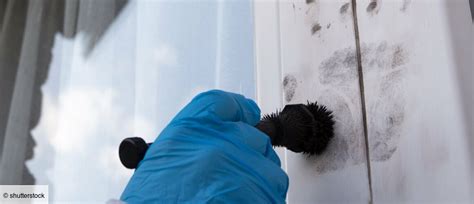 Le Meurtre Inavouable De Sylvain Dromard S23e4 Faites Entrer Laccusé Télé Loisirs