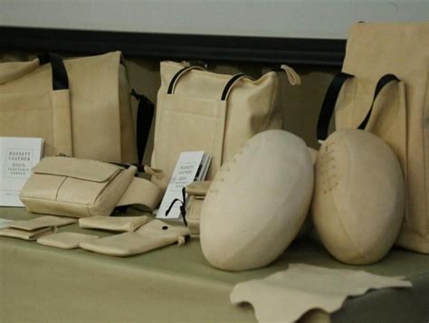 Арьс ширний салбарт байгальд ээлтэй технологи нэвтрүүлэх төслийн судалгааны дүнг танилцуулав