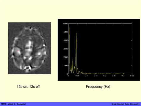 Ppt Fmri Data Analysis I Basic Analyses And The General Linear Model Powerpoint Presentation