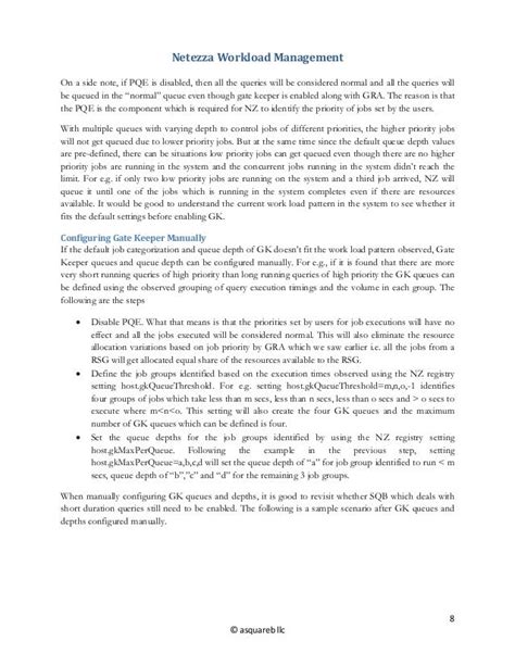 netezza workload management