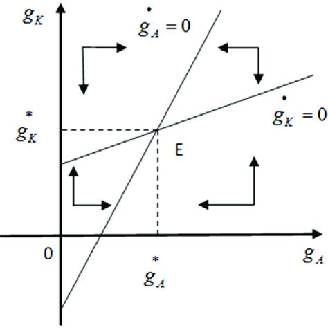 Dynamic Phase Diagram Of Technology And Capital Growth Rate Download Scientific Diagram