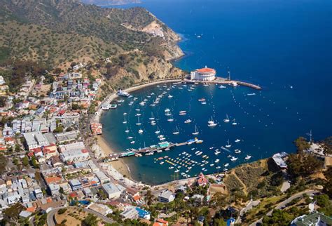 Santa Catalina Island Company Avalon Ca 90704