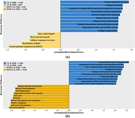 Reactome Pathways A In Vitro Microarray Dataset B In Vivo Rna Seq Download Scientific Diagram