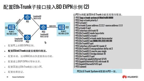 Evpn配置 401335990 博客园